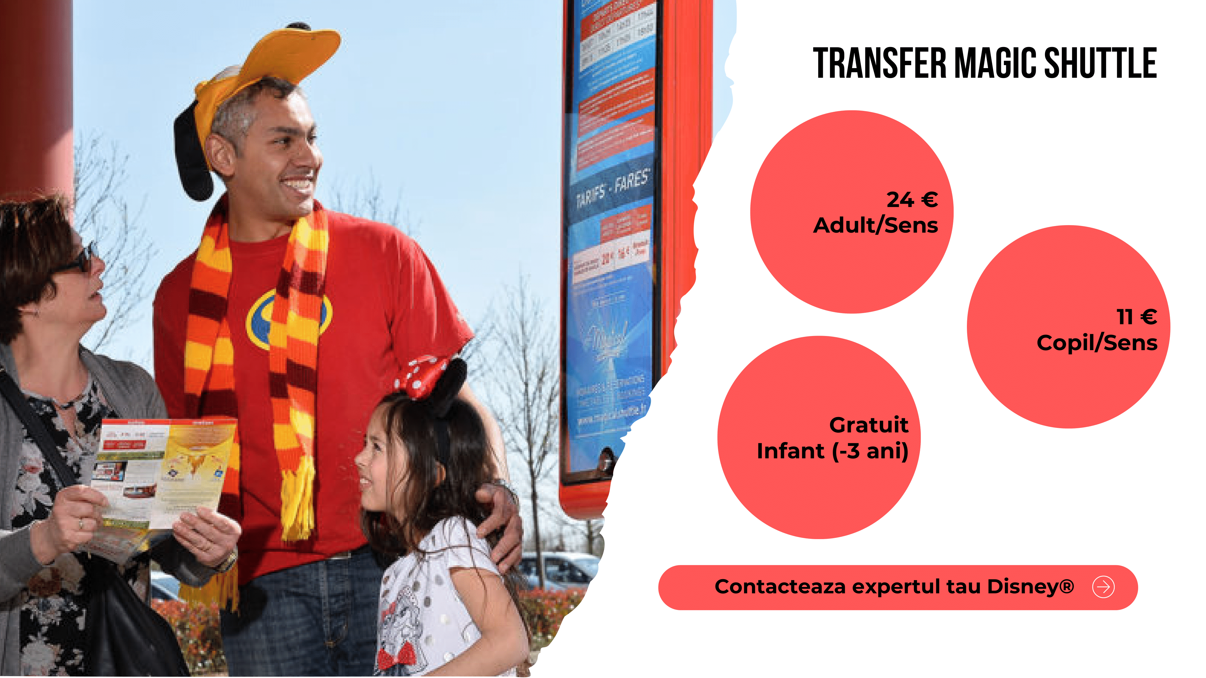 Oferte Disneyland: Vacanta, Sejur & Excursii | Happy Tour